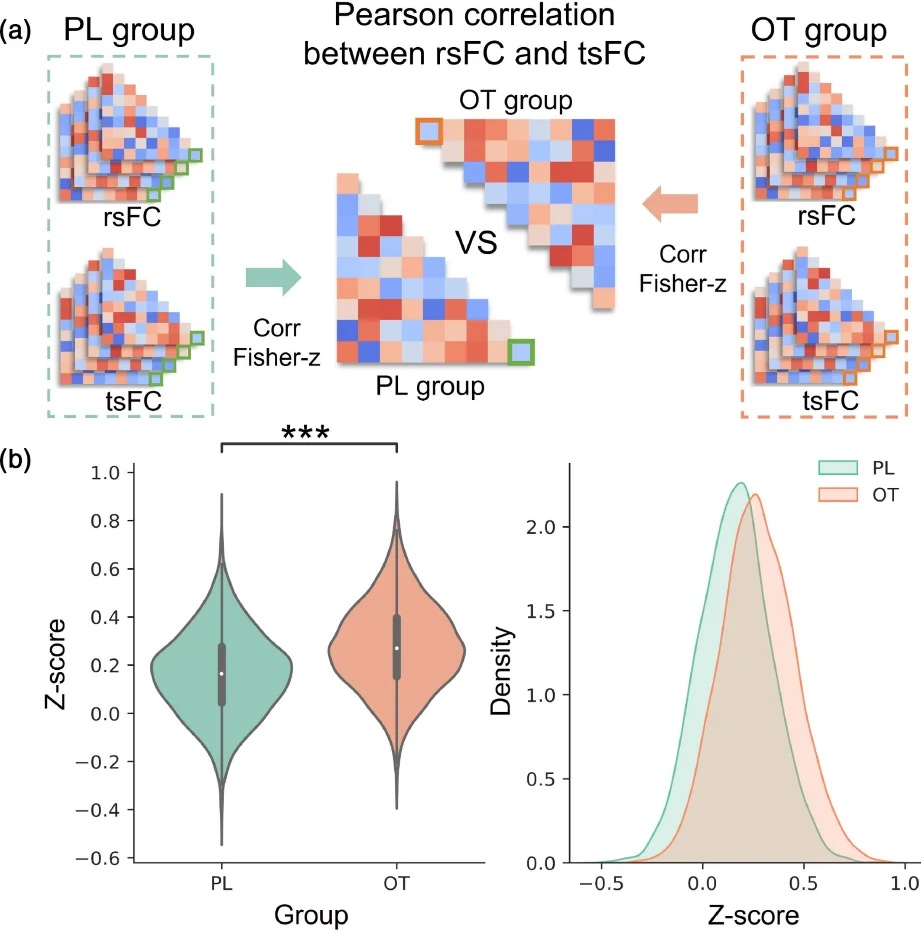 澳門科學技術發展基金